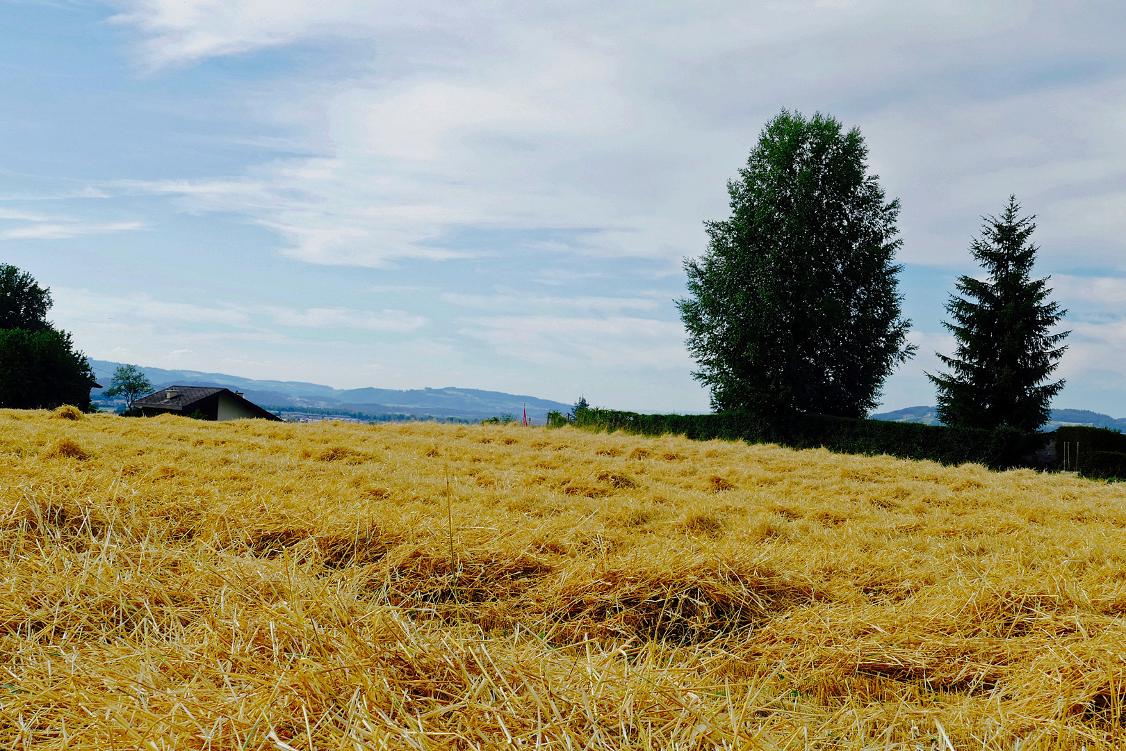 bei der Ernte 96 Foto & Bild | dokumentation, natur, landschaft Bilder ...