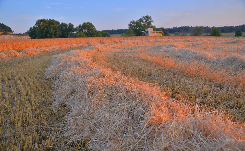 bei der Ernte Foto & Bild | landschaft, Äcker, felder & wiesen ...