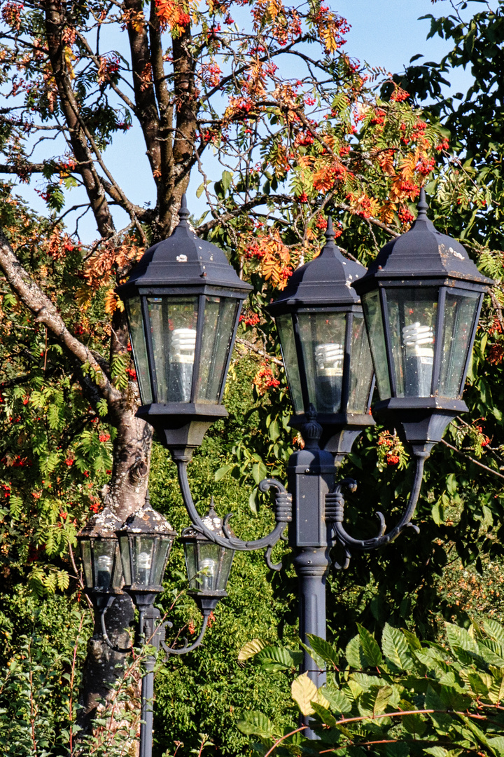 ...bei der Laterne wollen wir stehn.... Foto & Bild | sonstiges, fotos ...