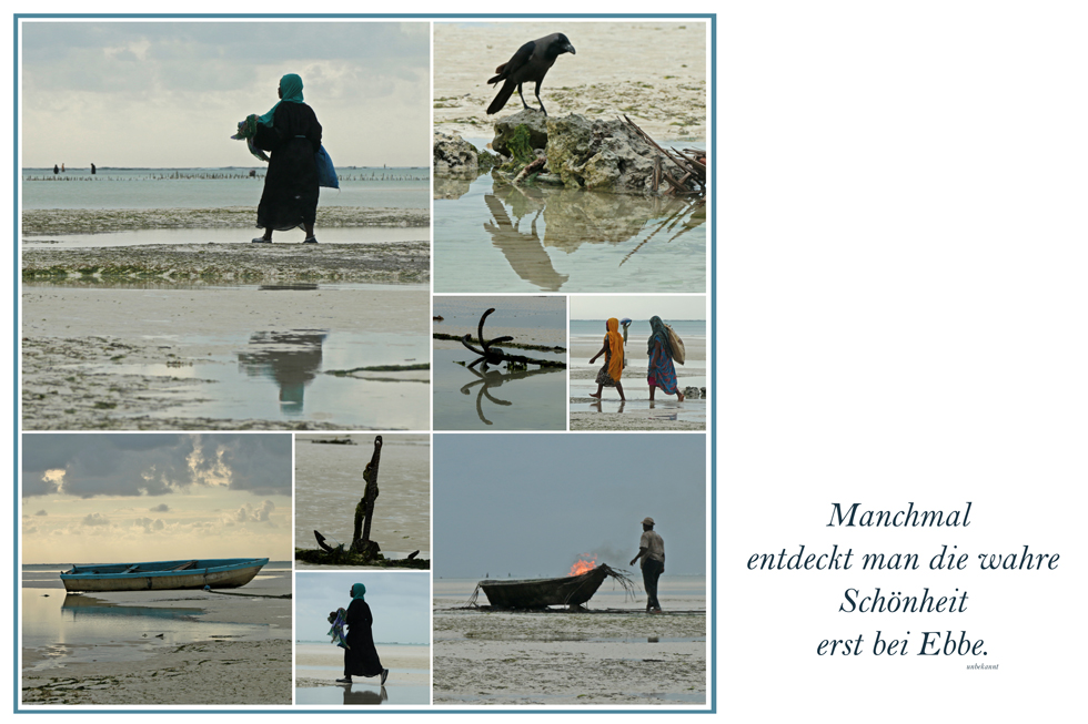 bei Ebbe Foto & Bild | world, spezial, meer Bilder auf fotocommunity