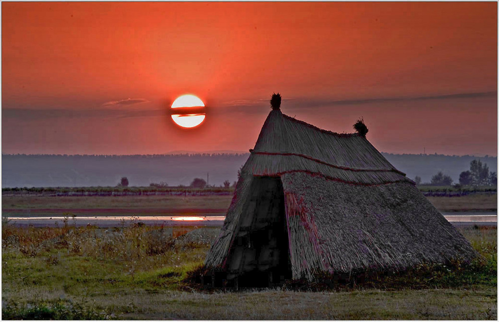 Bei ILLMITZ am NEUSIEDLERSEE Foto & Bild | landschaft, lebensräume ...