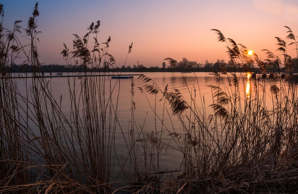 Bei uns am Friedberger See Foto & Bild | landschaft, natur Bilder auf ...