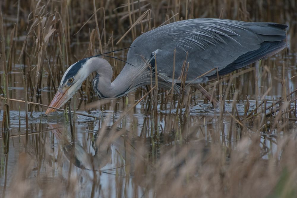 beim fischen Foto & Bild | nature, outdoor, natur Bilder auf fotocommunity