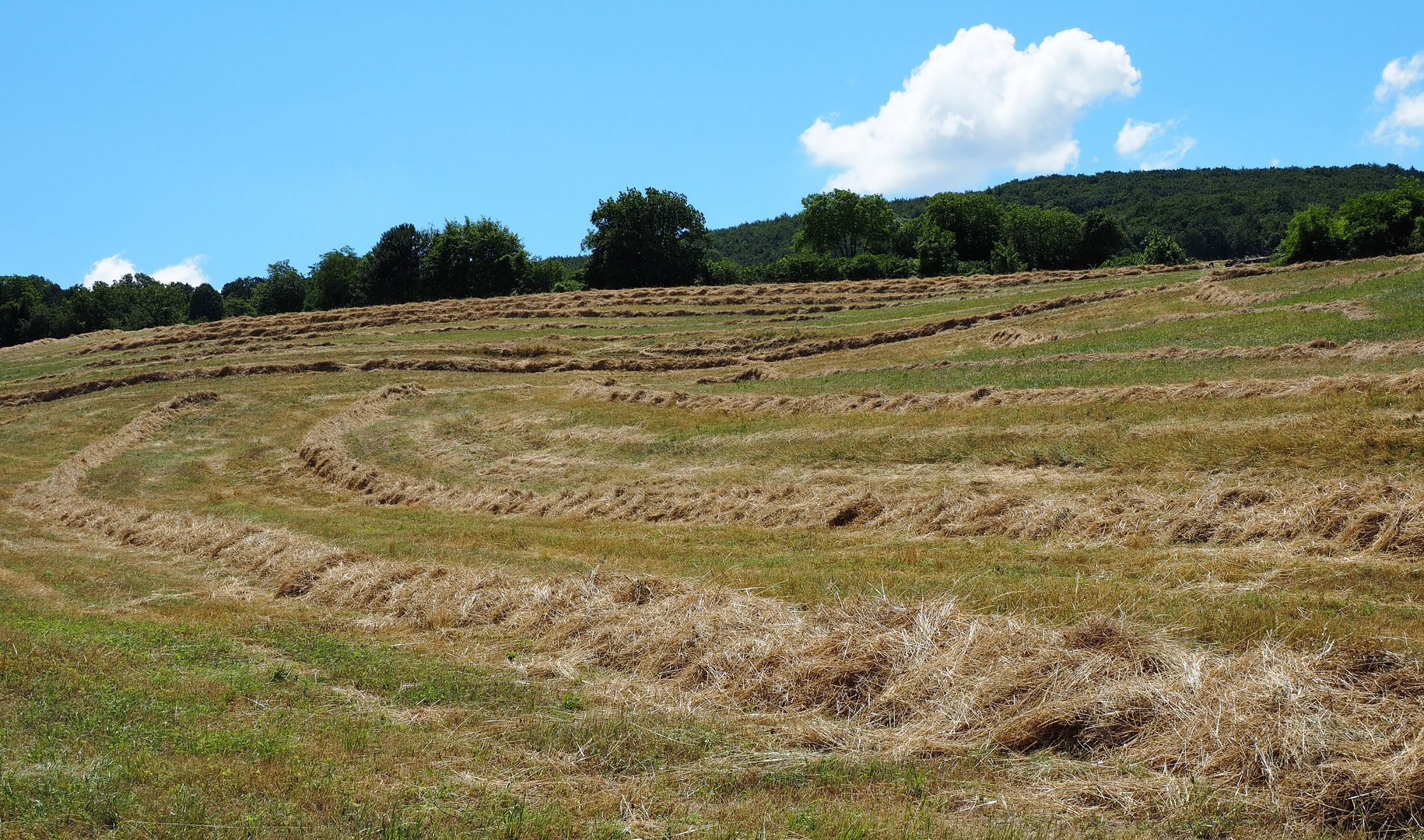 Beim heuen Foto & Bild | europe, Österreich, landschaft Bilder auf ...
