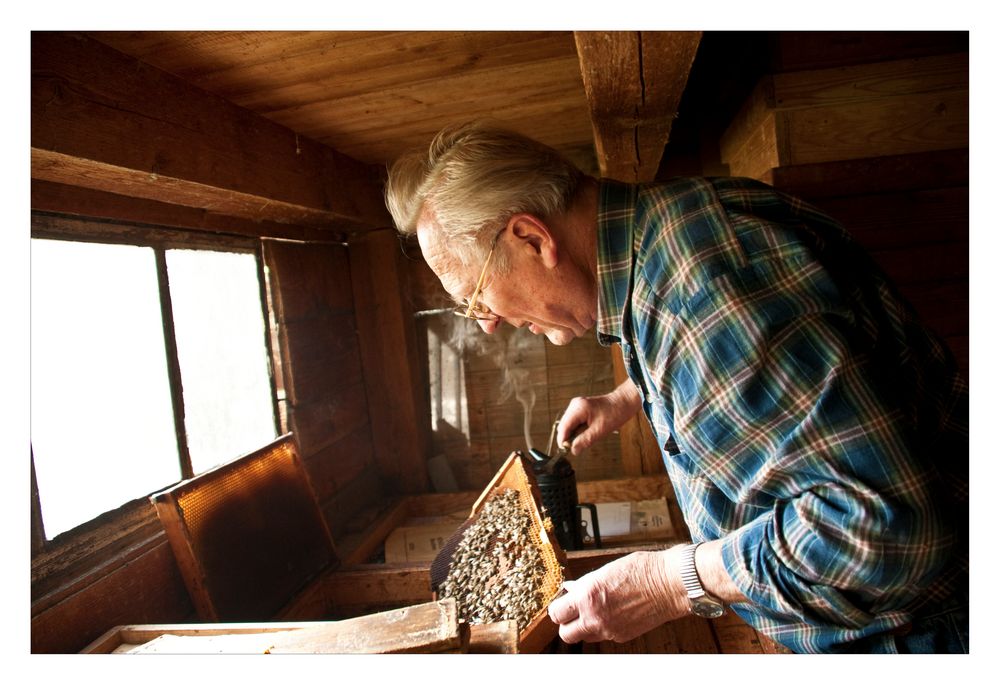 beim Imker Foto & Bild | reportage dokumentation, motive Bilder auf ...