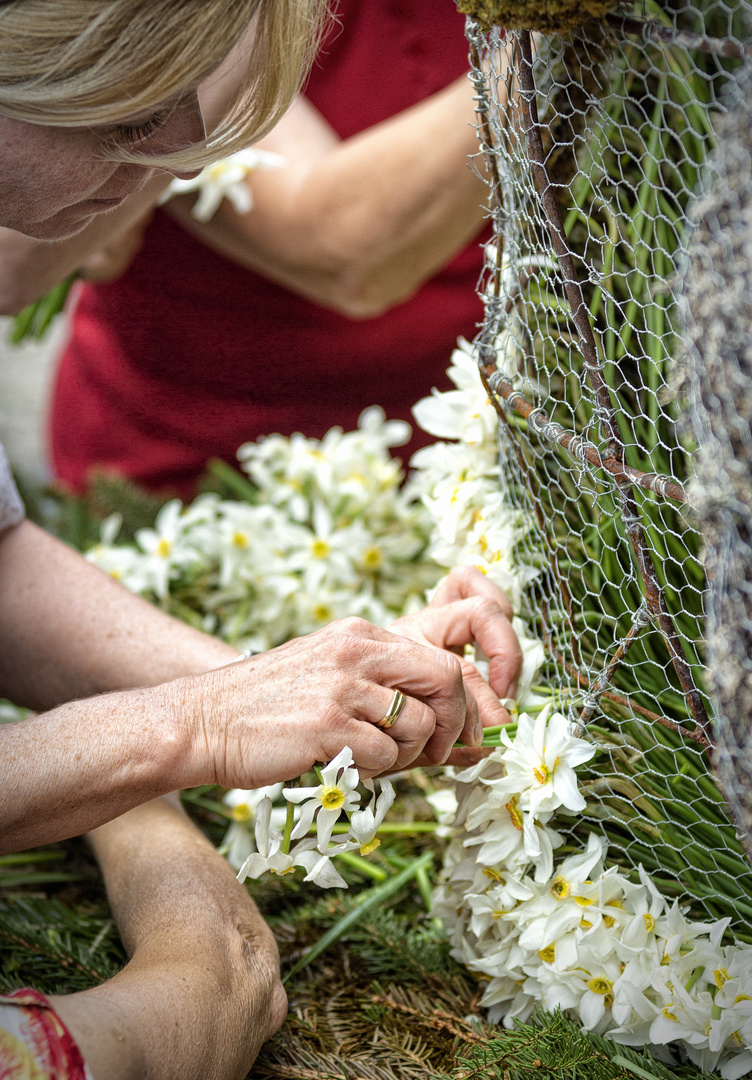 beim Stecken der Narzissenfiguren Foto & Bild | europe, Österreich ...
