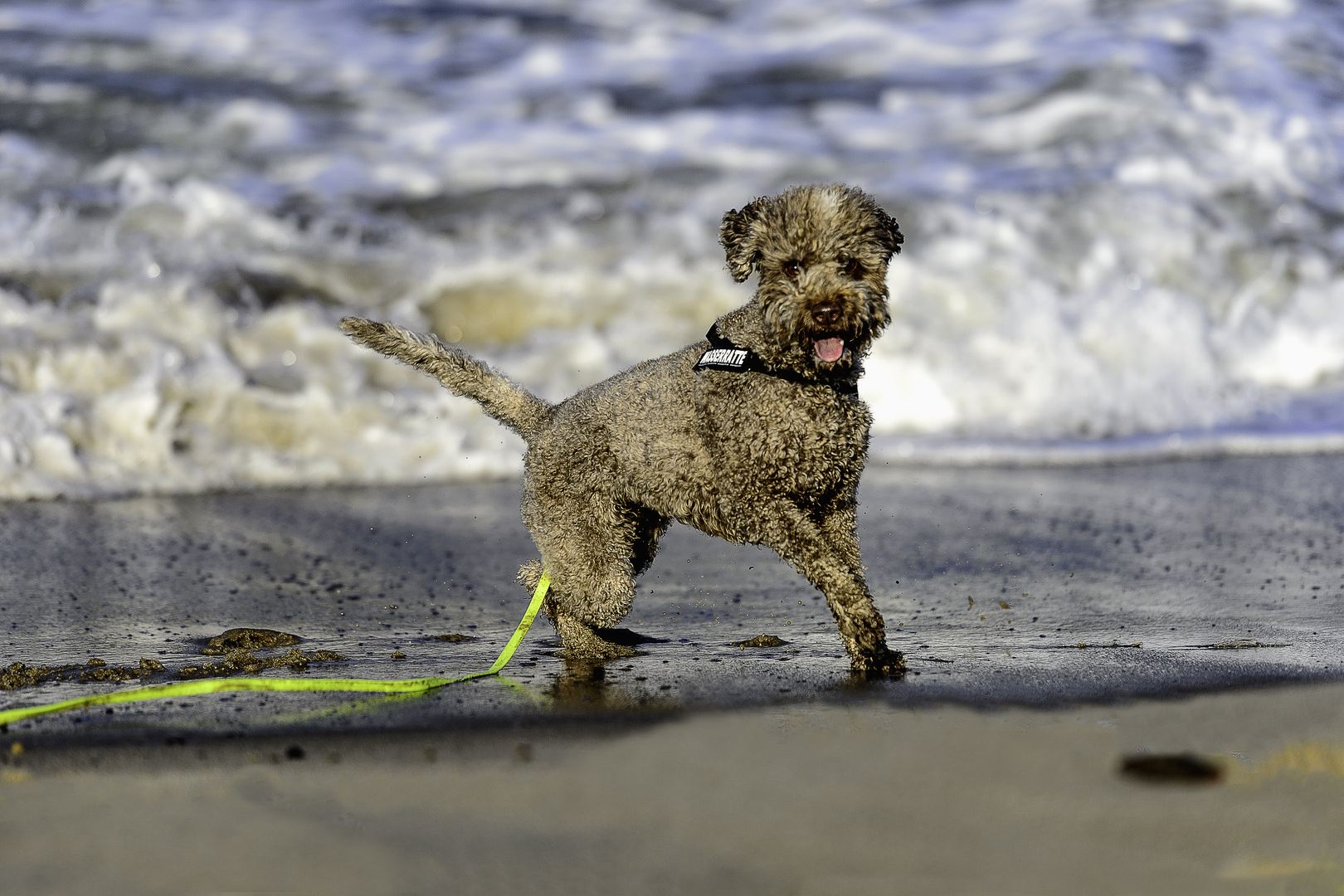 Beim Toben Foto & Bild | urlaub, september, world Bilder auf fotocommunity