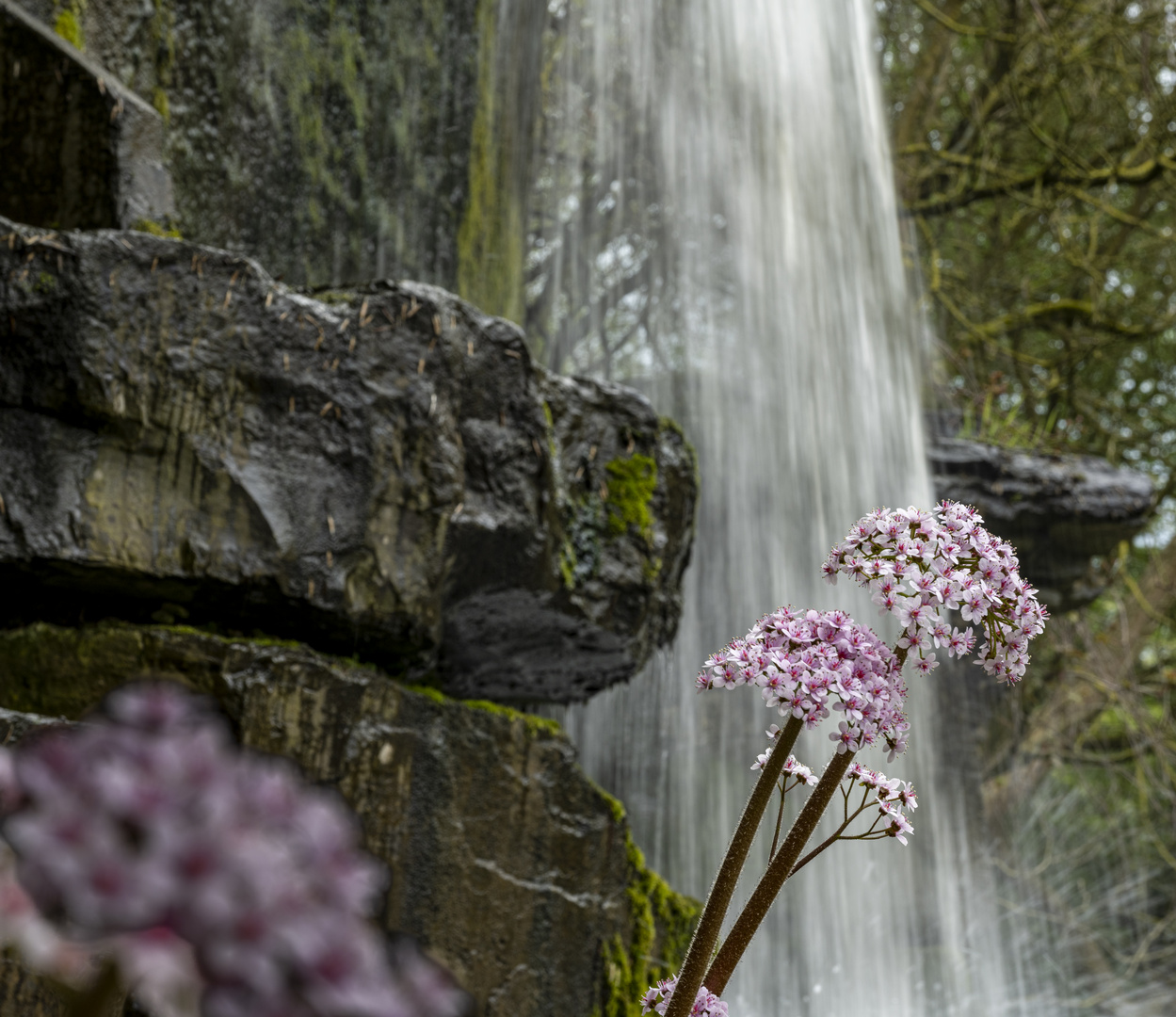 Beim vorbeigehen erblickt Foto & Bild | world, natur, landschaft Bilder ...