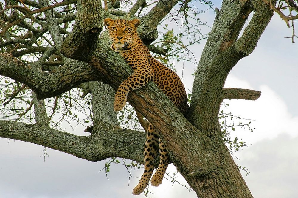 Beine baumeln lassen... Foto & Bild | africa, eastern africa, kenya ...
