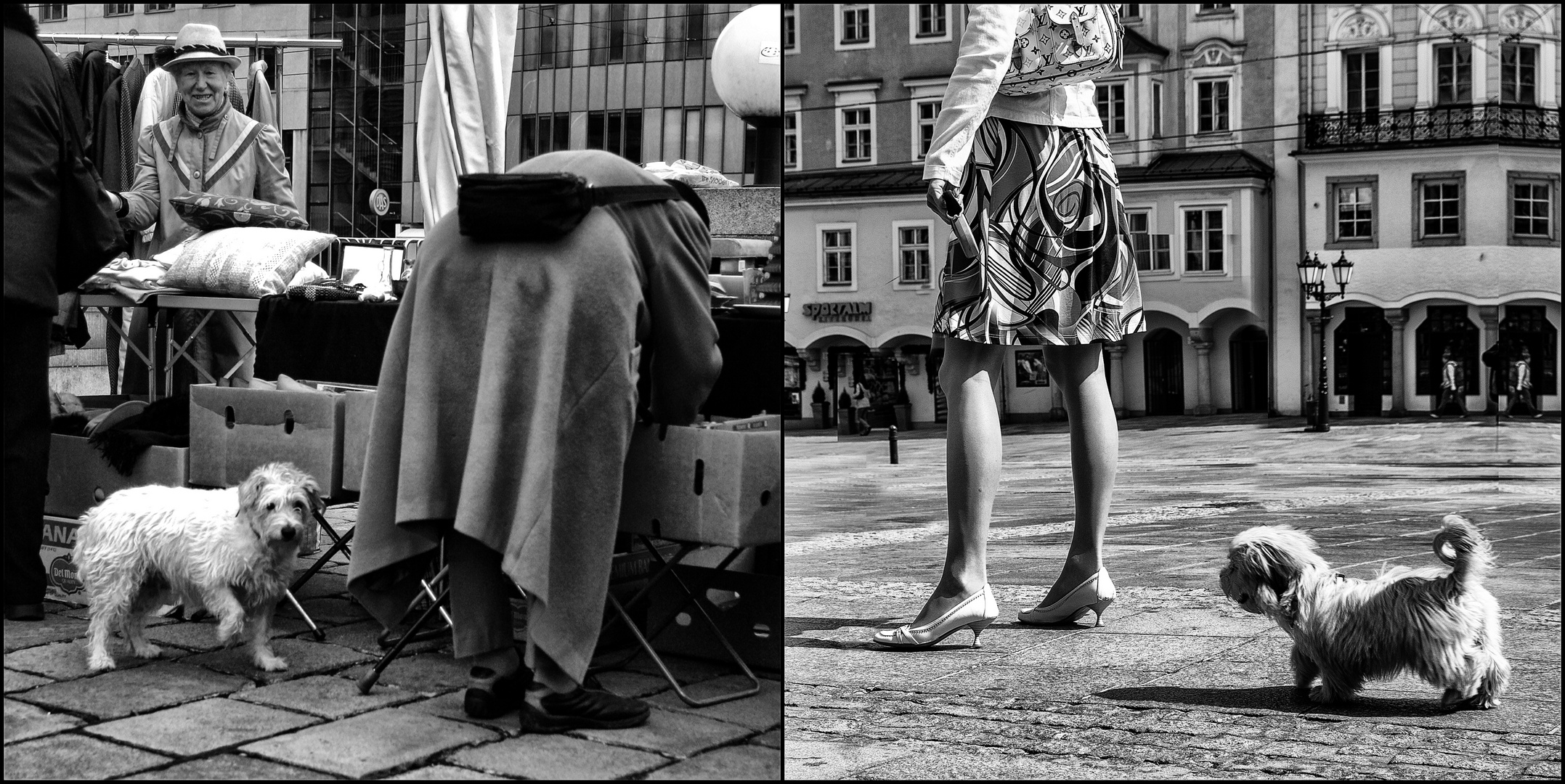 Beine mit Hund. Foto & Bild | streetfotografie mit menschen, street, menschen Bilder auf ...