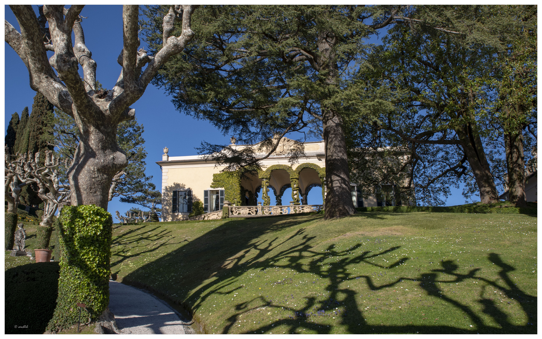 Bekannt geworden... Foto & Bild | dokumentation, bäume, italien Bilder ...