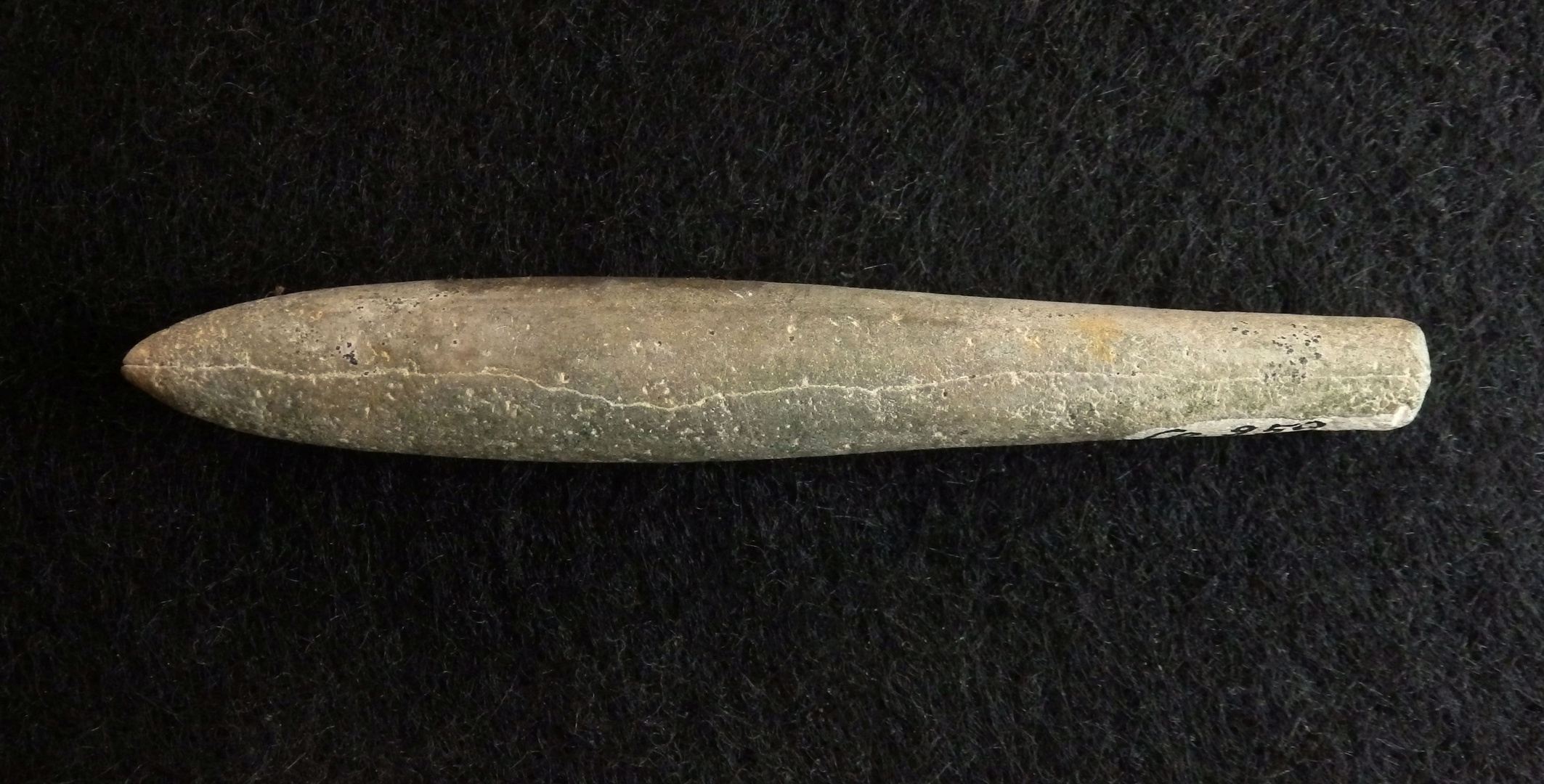 Belemnit aus der Kreidezeit - Actinocamax plenus Foto & Bild ...