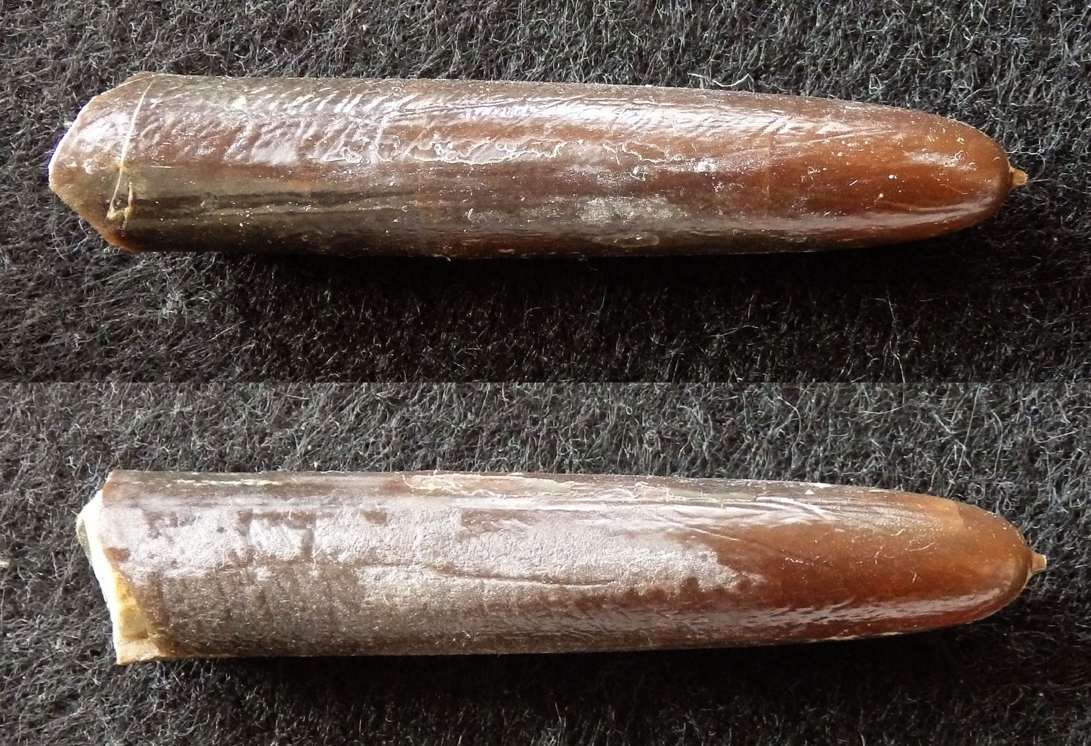 Belemnit aus der Kreidezeit - Belemnitella mucronata Foto & Bild ...