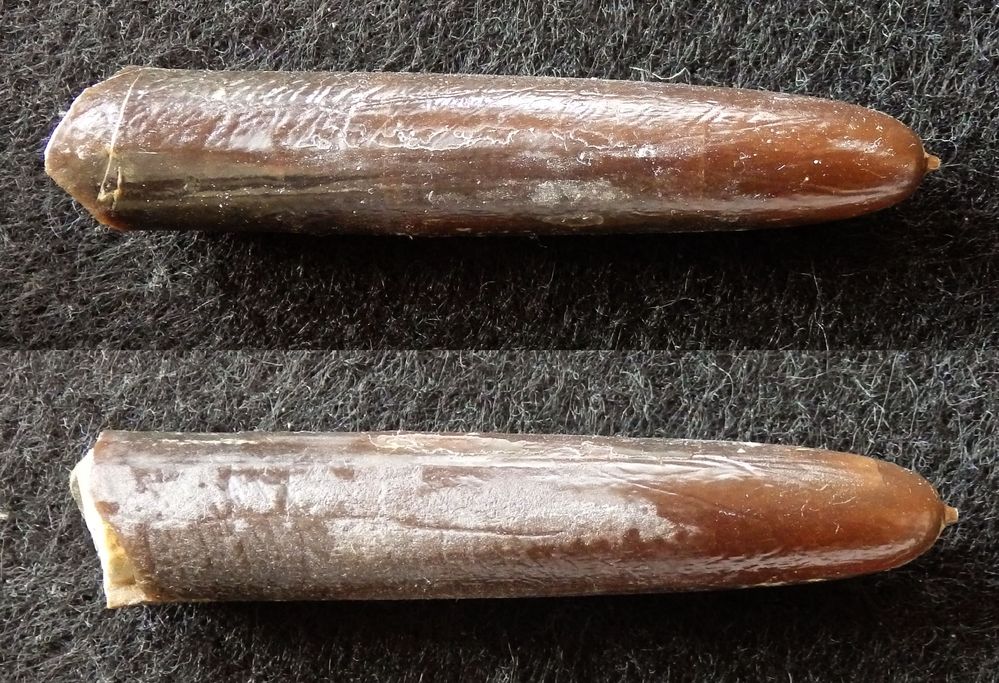 Belemnit aus der Kreidezeit - Belemnitella mucronata Foto & Bild ...