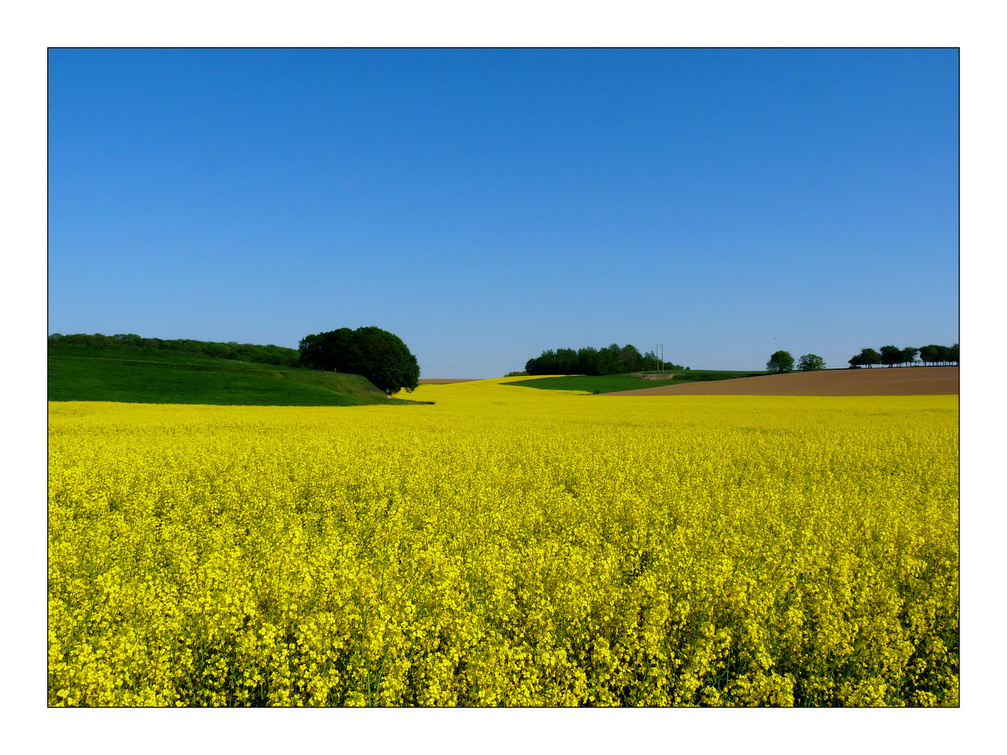 Belle campagne ... photo et image | paysages, paysages de campagne ...