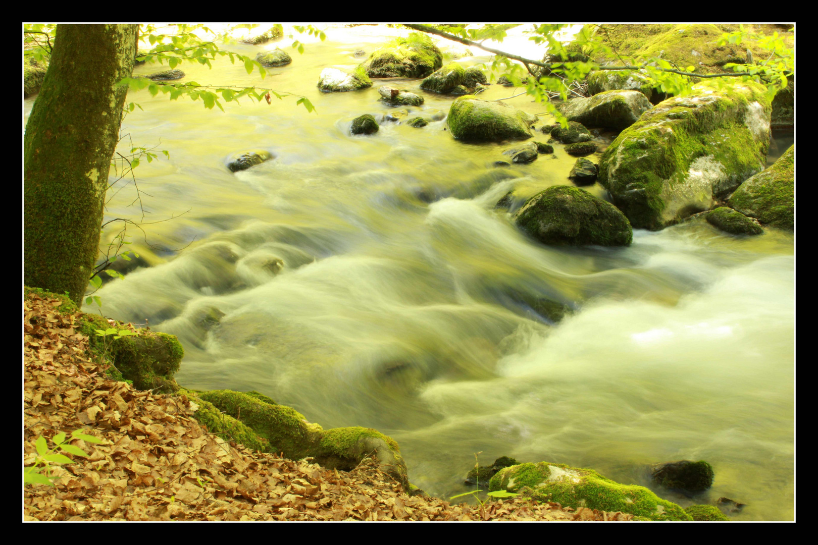belle riviere photo et image | divers, la nature simplement, nature ...