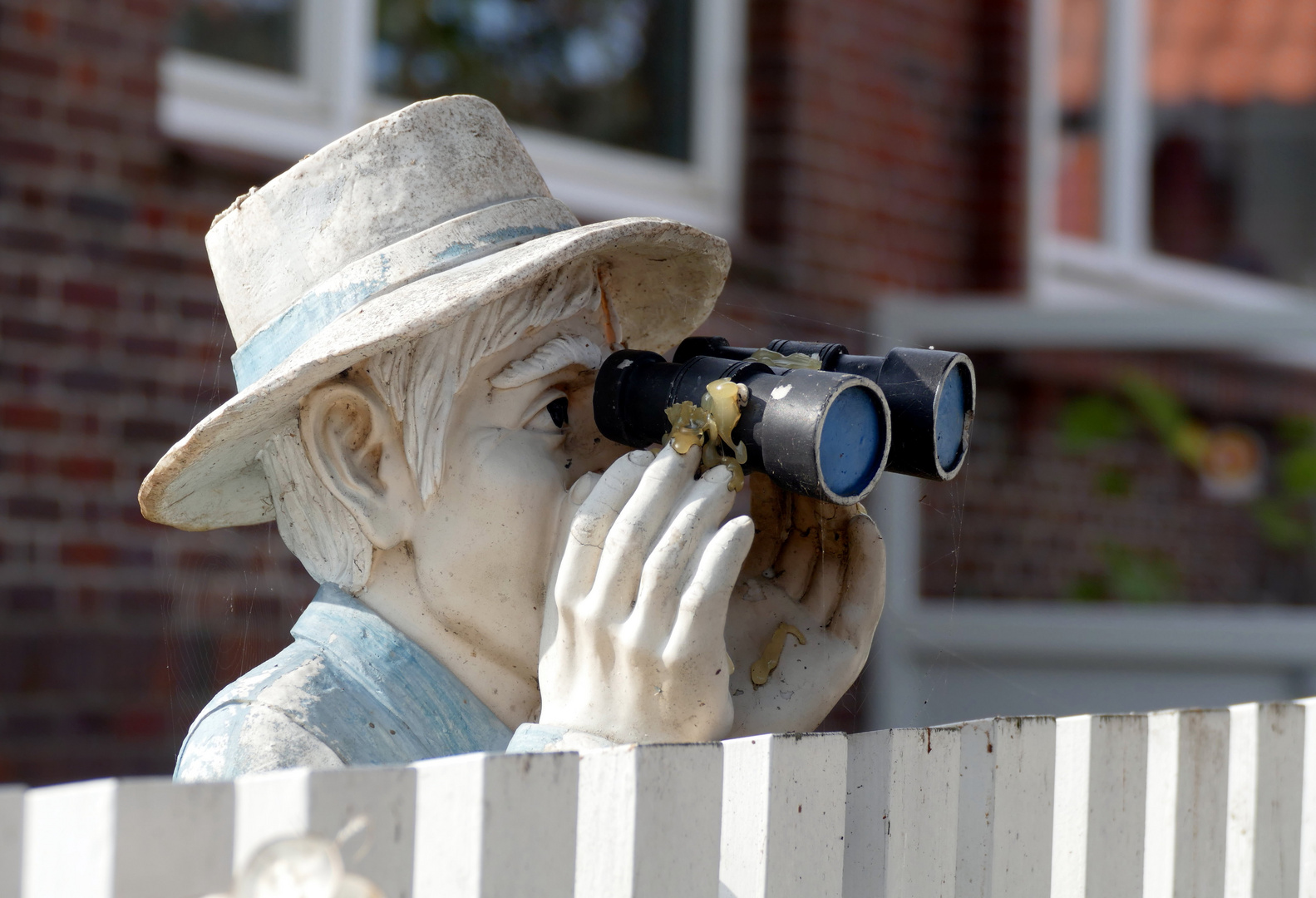 Beobachter Foto & Bild | stillleben, unterwegs, hut Bilder auf ...
