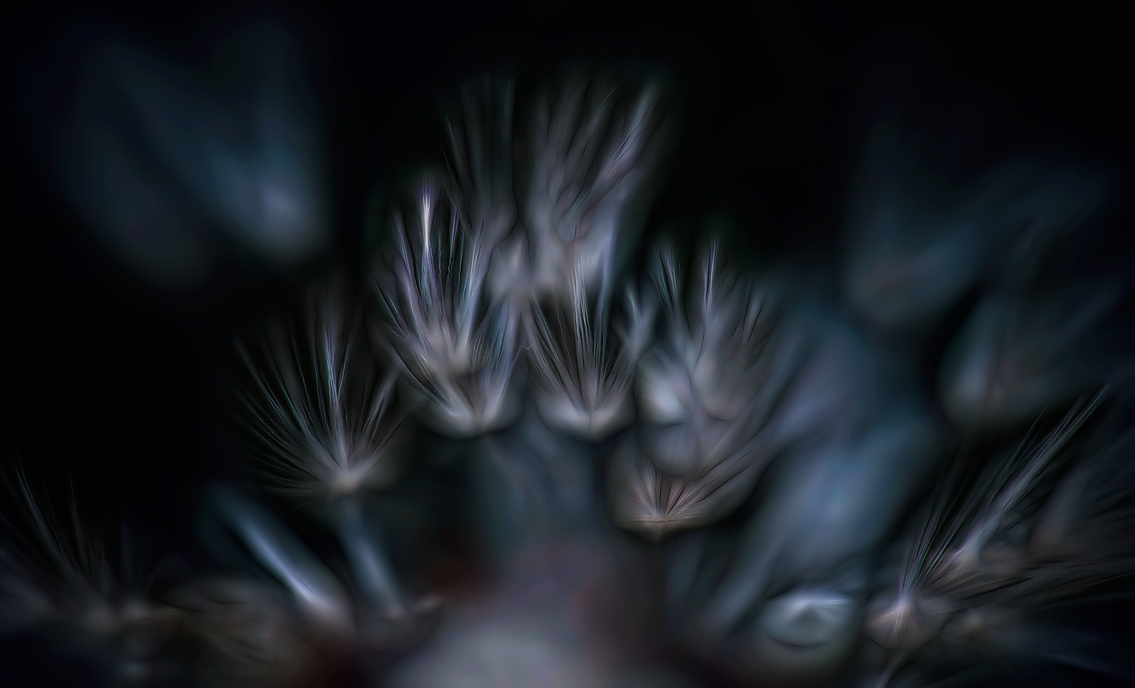 bepuschelt werden ... Foto & Bild | bearbeitungs - techniken, filtertechniken, digi-art Bilder ...