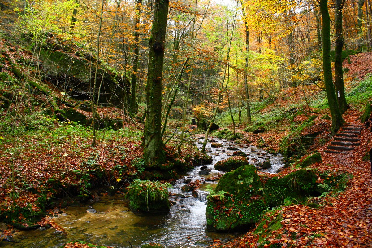 Berdorf photo et image | les saisons, automne, luxembourg Images ...