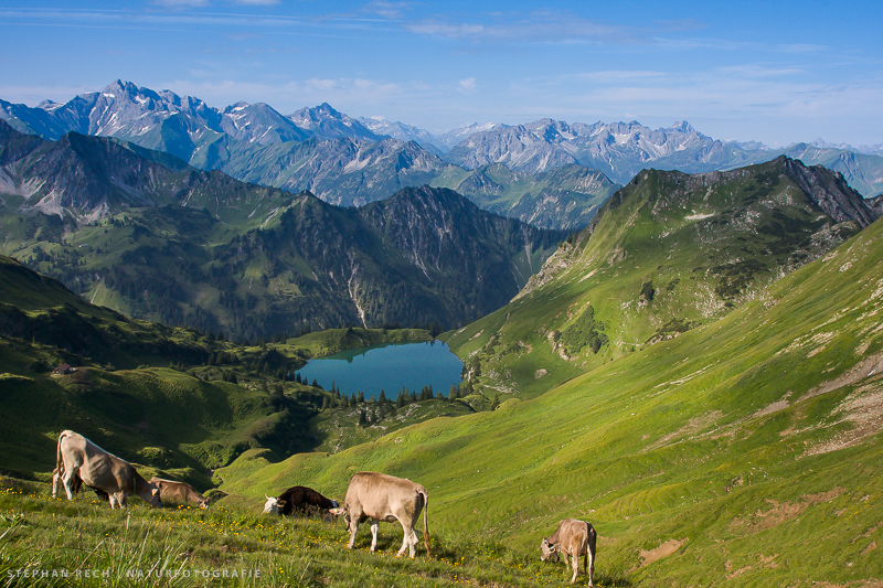 BERGSEE Foto & Bild | landschaft, berge, bergseen Bilder auf fotocommunity