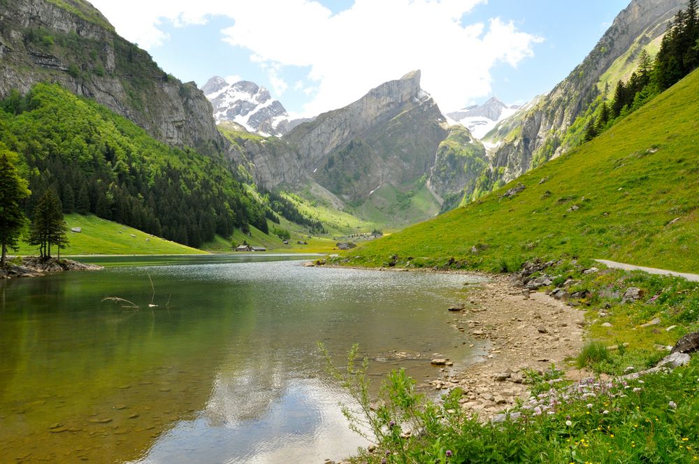 Bergsee, Seealpsee Foto & Bild | landschaft, berge, bergseen Bilder auf ...