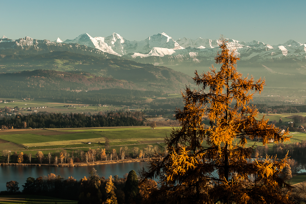 Berner Alpen im Abendlicht Foto & Bild | europe, schweiz ...