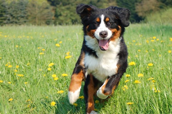 Jan Ovelgönne - Fotos & Bilder - Fotograf aus Hannover | fotocommunity