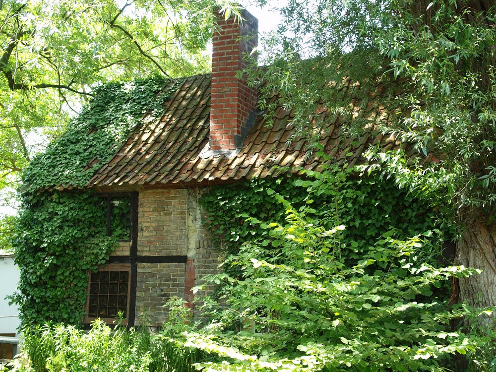 Berwicke - altes Wohnhaus am Tümpel Foto & Bild | deutschland, europe ...