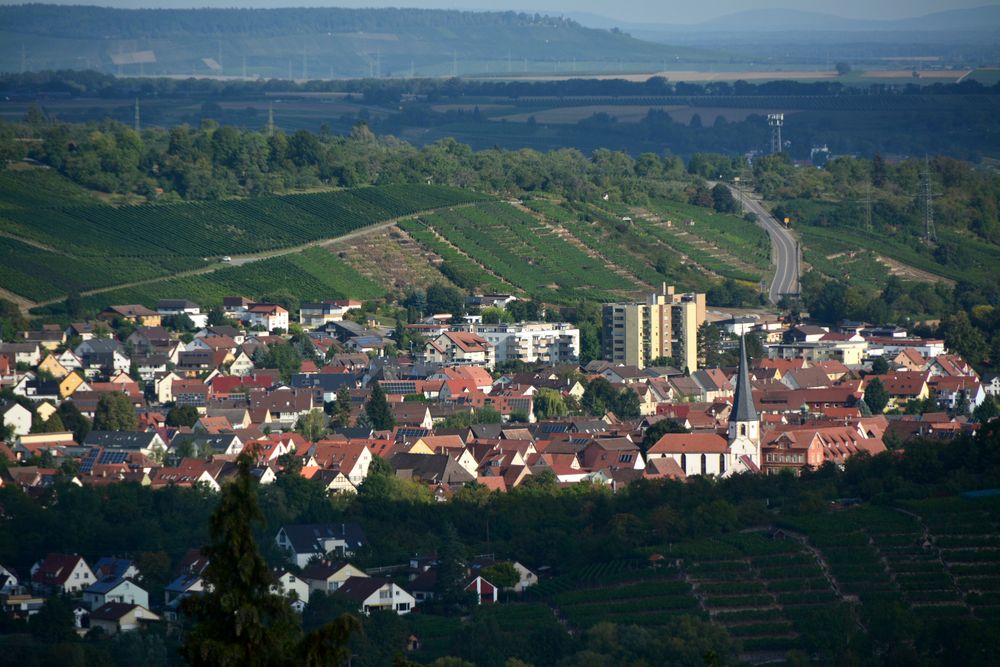 Besigheim am Neckar Foto & Bild | besigheim am neckar, landschaft ...