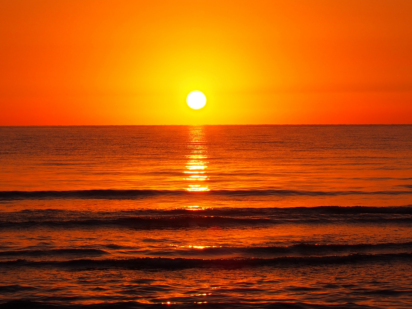 BESOS LIBRES DEL MAR Imagen & Foto | paisajes, elementos , mar y playa ...