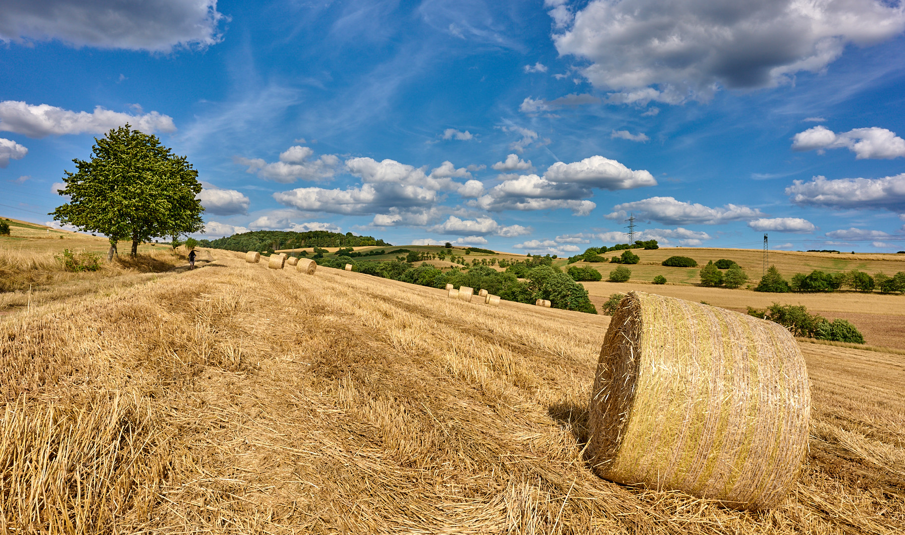 Besser hätte das Licht und der Himmel für die Aufnahme nicht sein ...