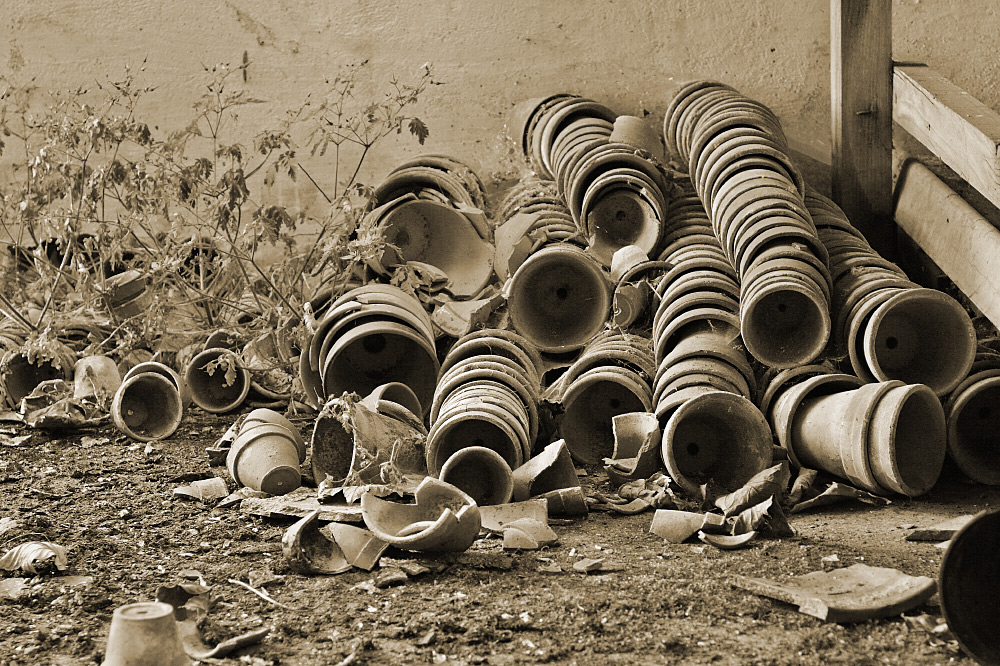 Bessere Zeiten II in SW Foto & Bild | stillleben, borghorst, motive ...