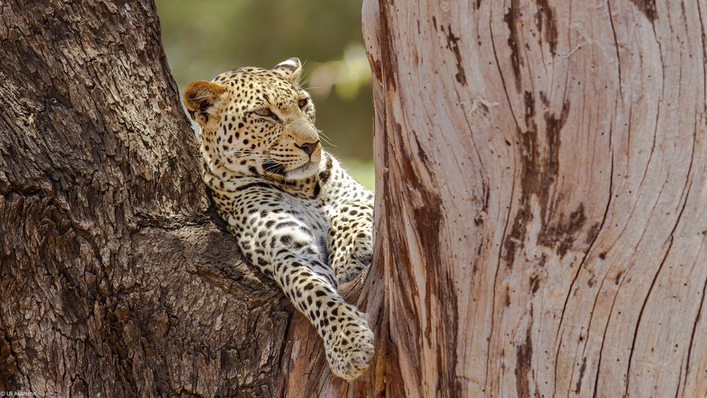 Beste Aussicht Foto & Bild | world, natur, afrika Bilder auf fotocommunity