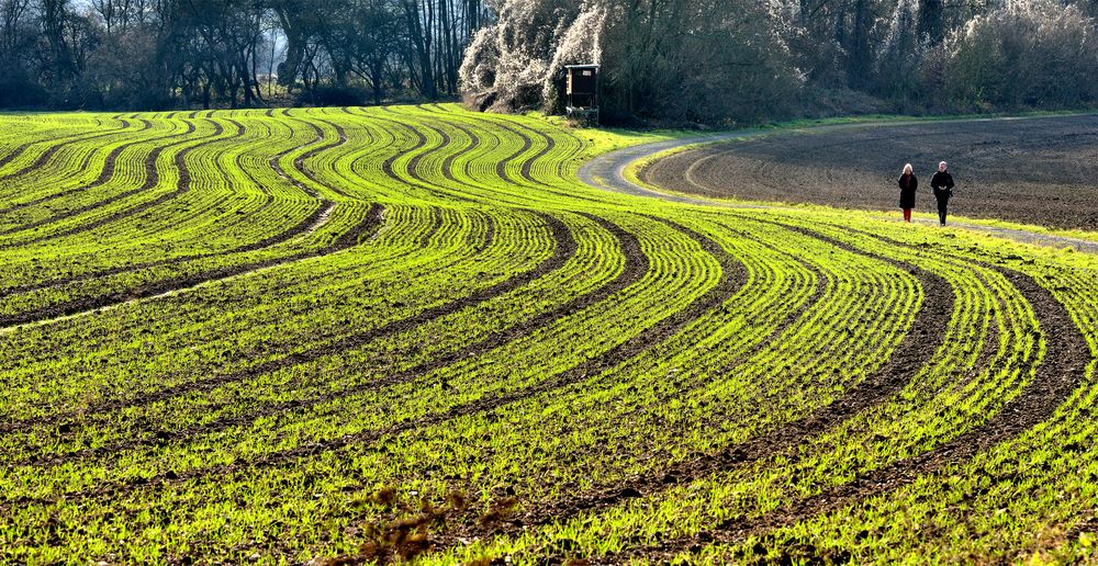 Bestellter Acker Foto & Bild | landschaft, Äcker, felder & wiesen ...