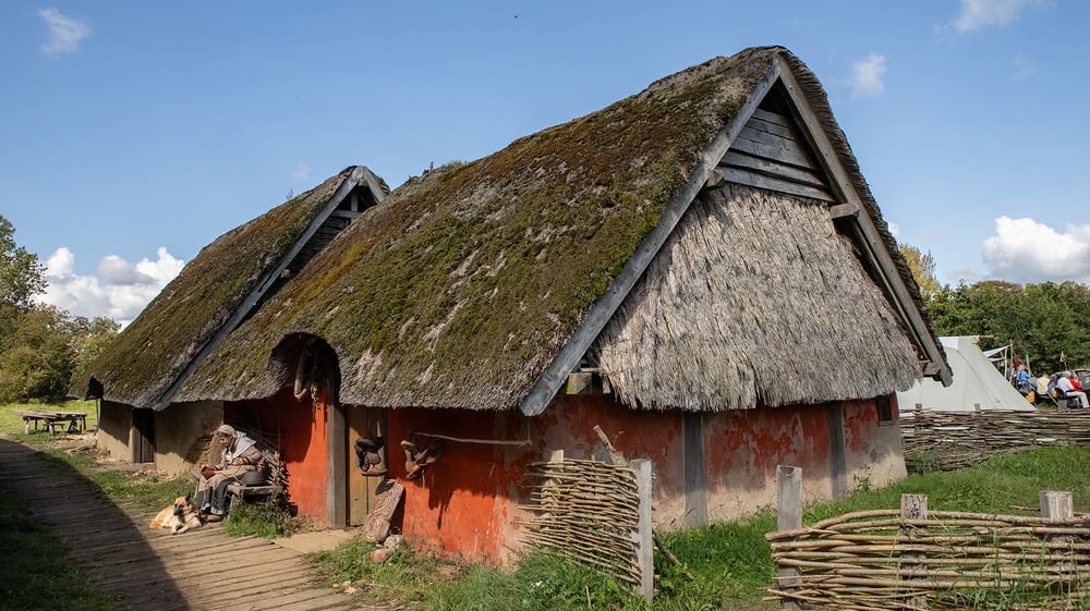 Besuch bei den Wikingern Foto & Bild | europe, scandinavia, denmark ...