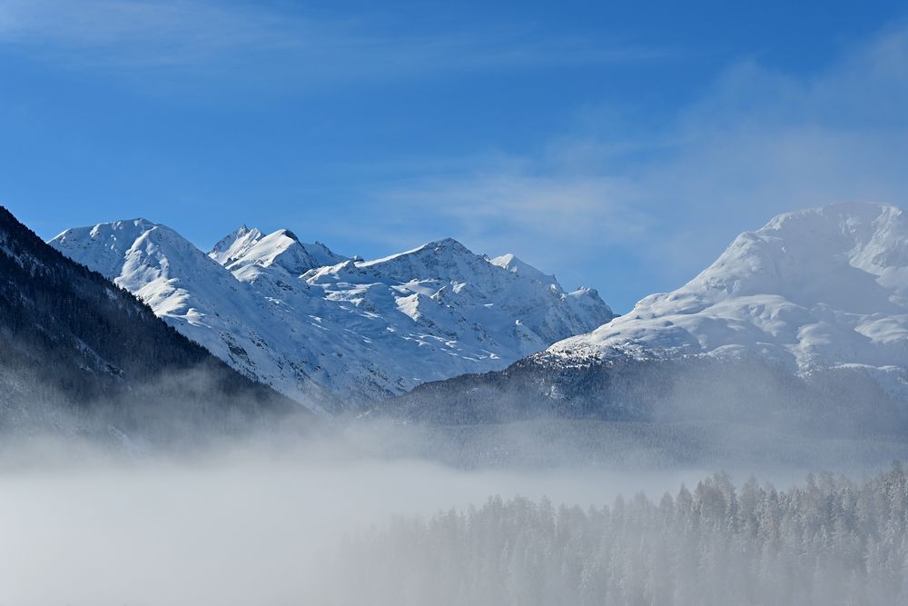 Bever im Nebel 5 Foto & Bild | landschaft, jahreszeiten, winter Bilder auf fotocommunity