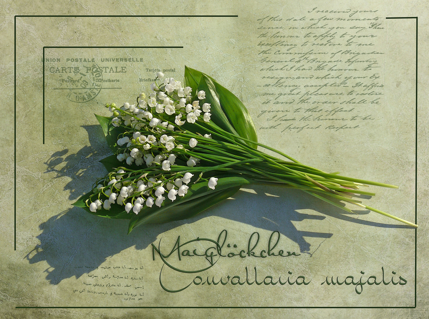 Bevor der Mai.... Foto & Bild | grün, composing, digiart Bilder auf ...