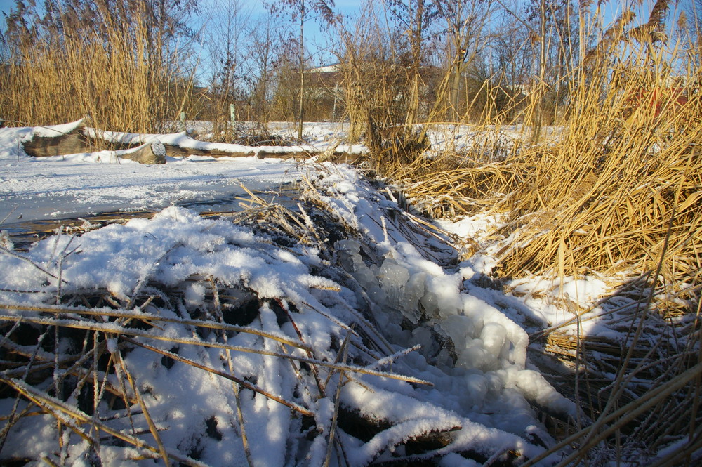 Biberdamm (III) Foto & Bild | landschaft, bach, fluss & see, bachläufe ...