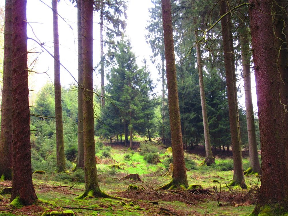 Bibertal Foto & Bild | bibertal, natur, landschaft Bilder auf fotocommunity