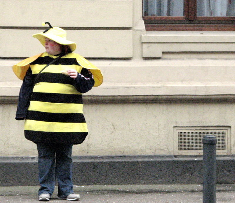 biene mayer aus määnz Foto & Bild | motive, fünfte jahreszeit ...