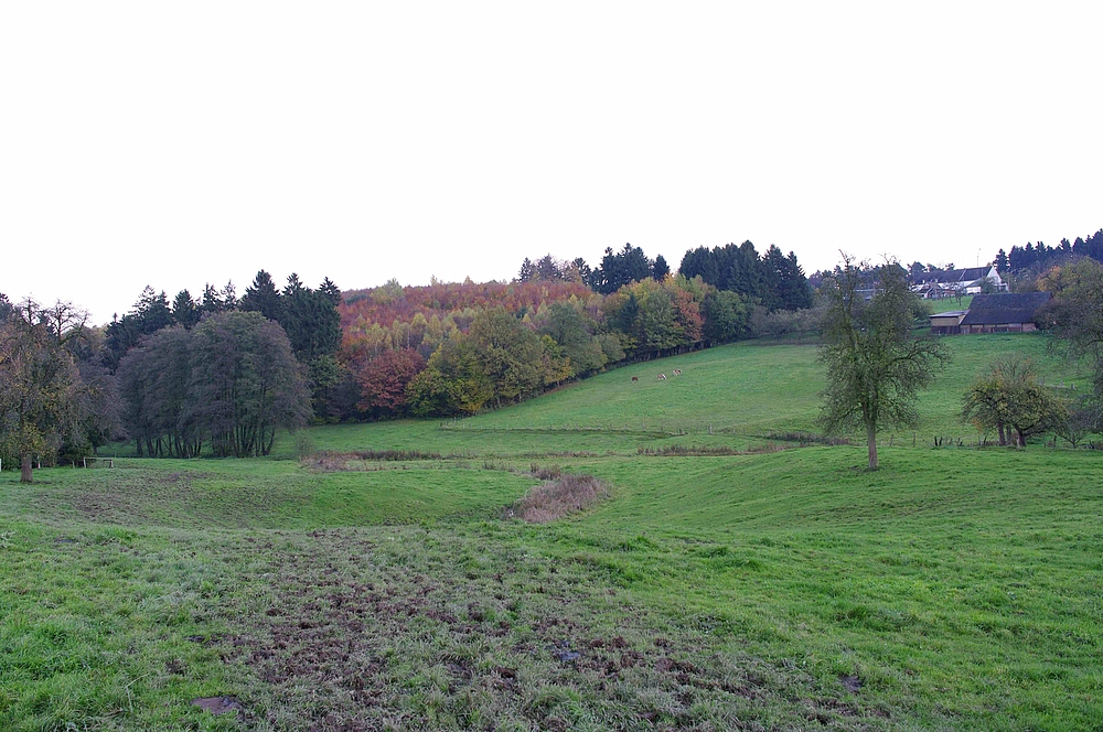 Bilder aus meiner Heimat (Bild 03) Foto & Bild | deutschland, europe ...