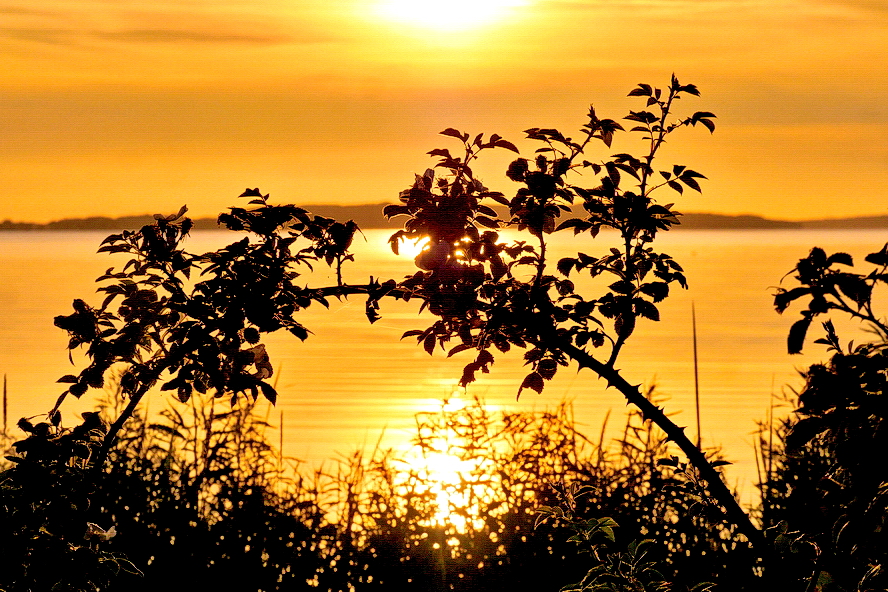 Bilder für die Seele Foto & Bild | natur, landschaft, motive Bilder auf ...