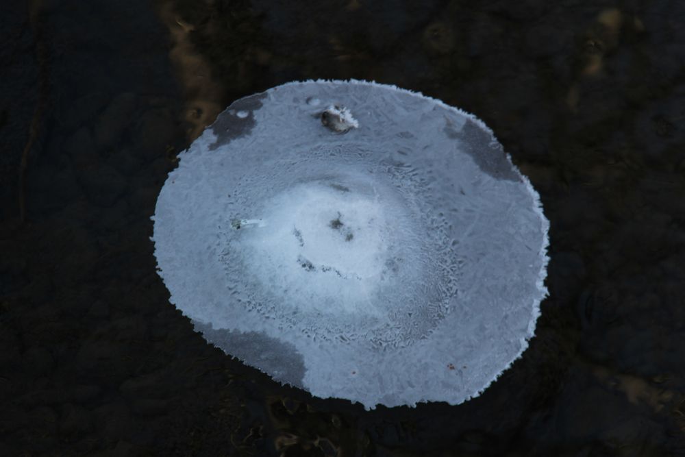 Bilder im Eis Foto & Bild | eis, kälte, eisbilder Bilder auf fotocommunity