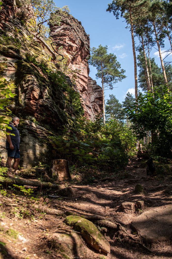 Bin dann mal weg Foto & Bild | landschaft, wege und pfade, natur Bilder ...