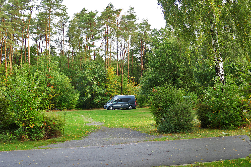 Bin gespannt auf den Herbst Foto & Bild | deutschland, europe ...