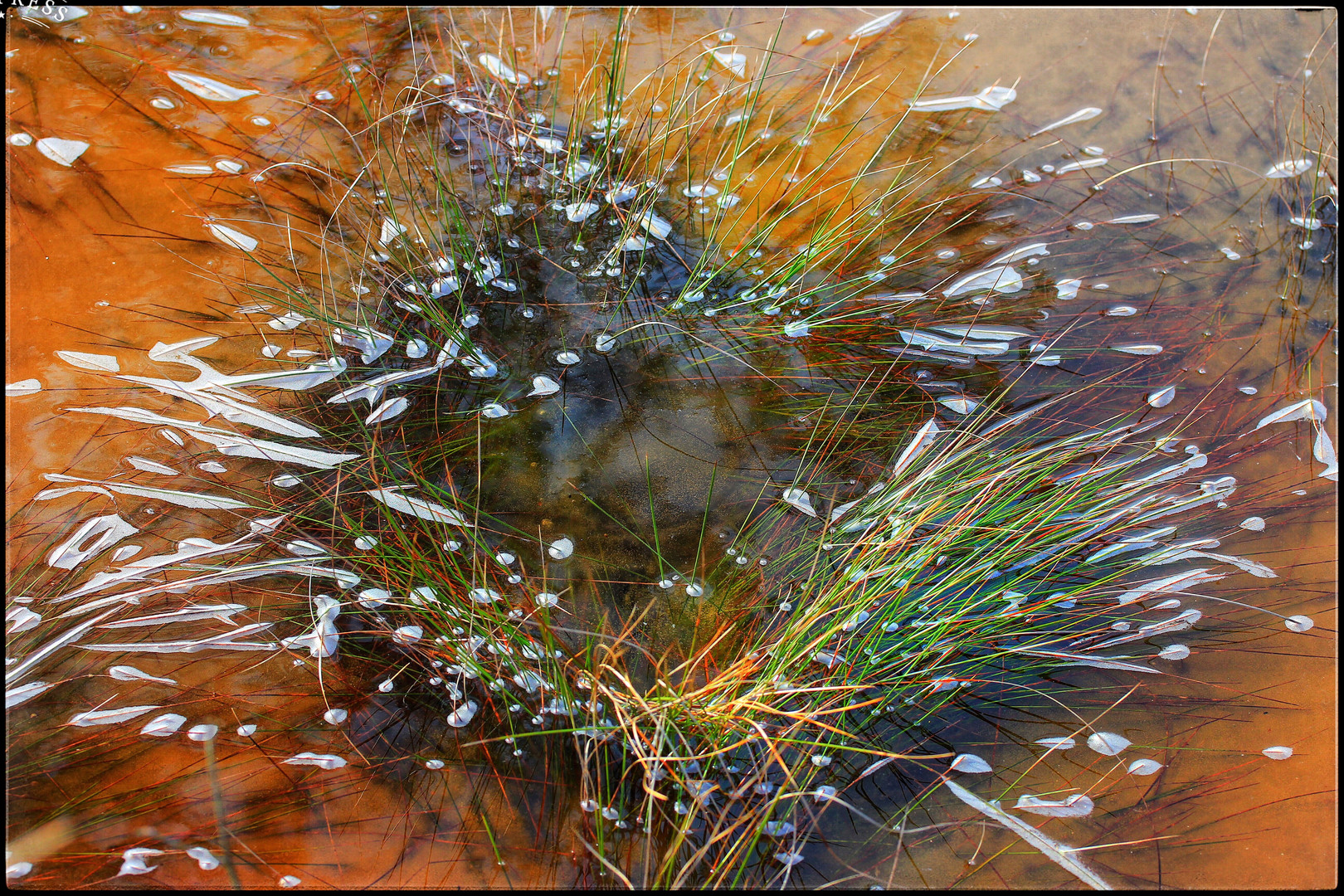 Bin ich hier jetzt im Durchblick? Foto & Bild | spezial, winter, natur ...