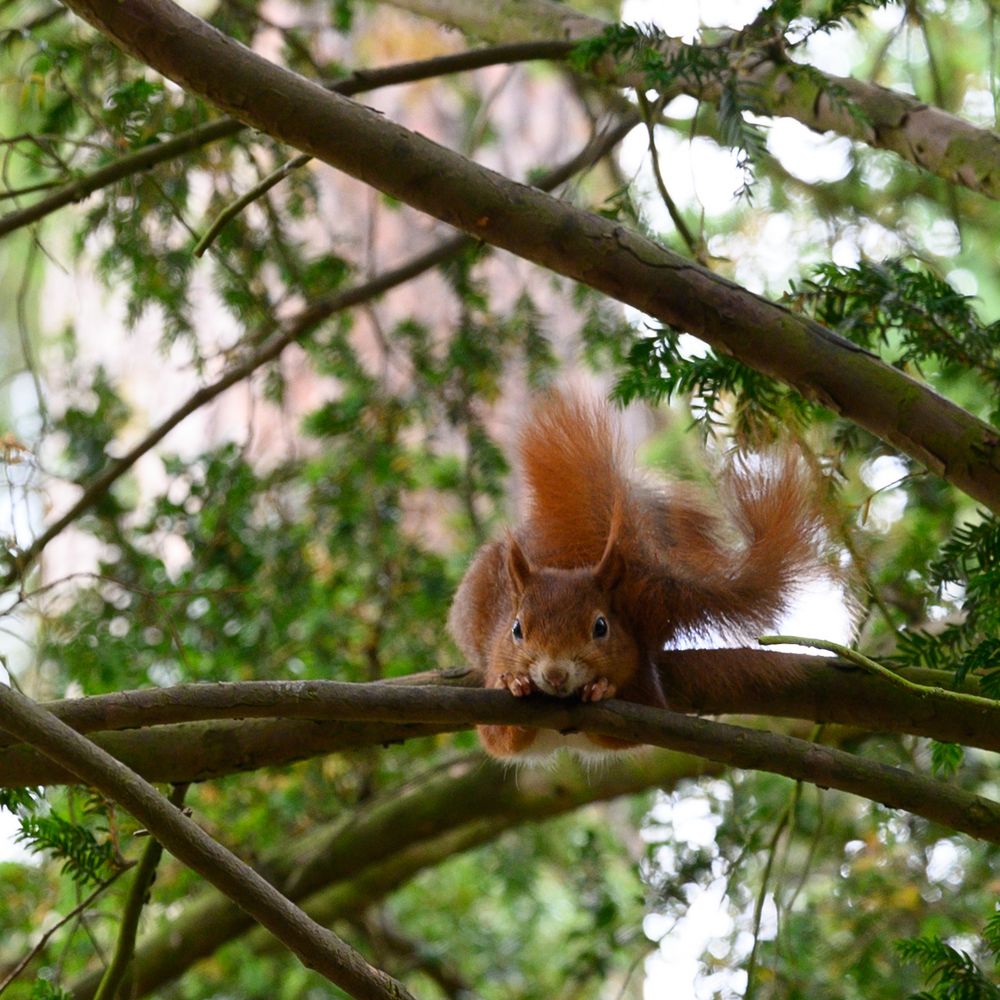 BIN NEUGIERIG | 2 Foto & Bild | tiere, wildlife, natur Bilder auf ...