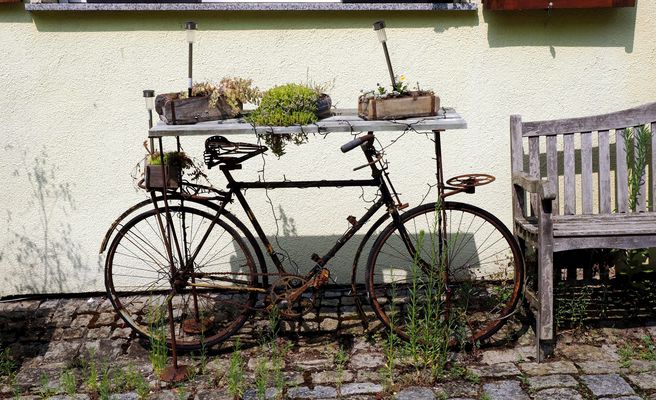 Ludwigsburg Bilder & Fotos