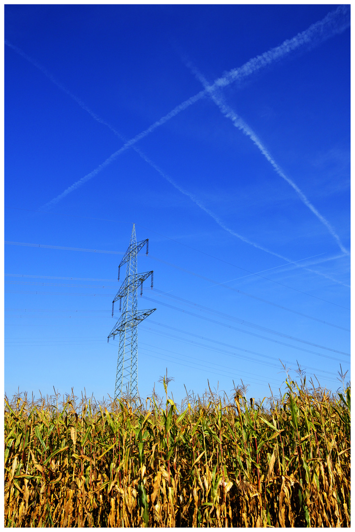 Bioenergie Foto & Bild | nikon, himmel, natur Bilder auf fotocommunity