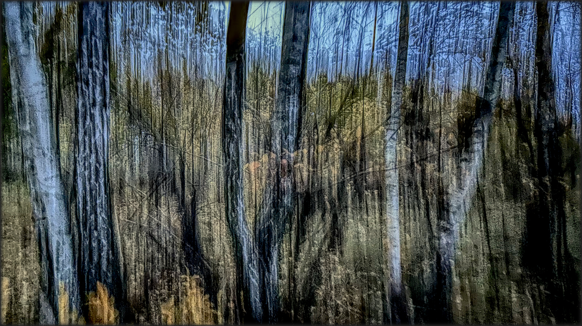 Birken Foto & Bild | projekte, natur-kreativ, bearbeitungs - techniken Bilder auf fotocommunity